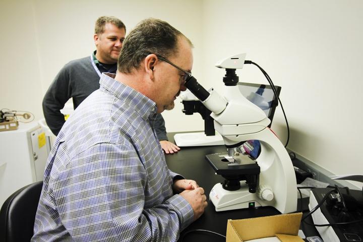 SLU Scientists Take Aim at Diabetes, Obesity with Exercise in a Pill ...
