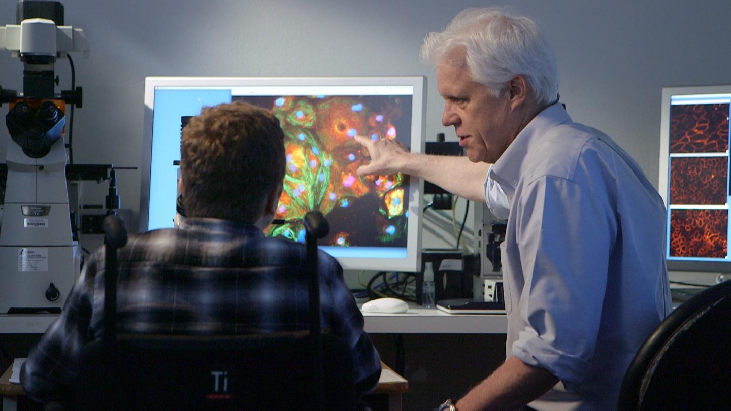 New CRISPR Method Efficiently Corrects DMD Defect in Heart Tissue ...