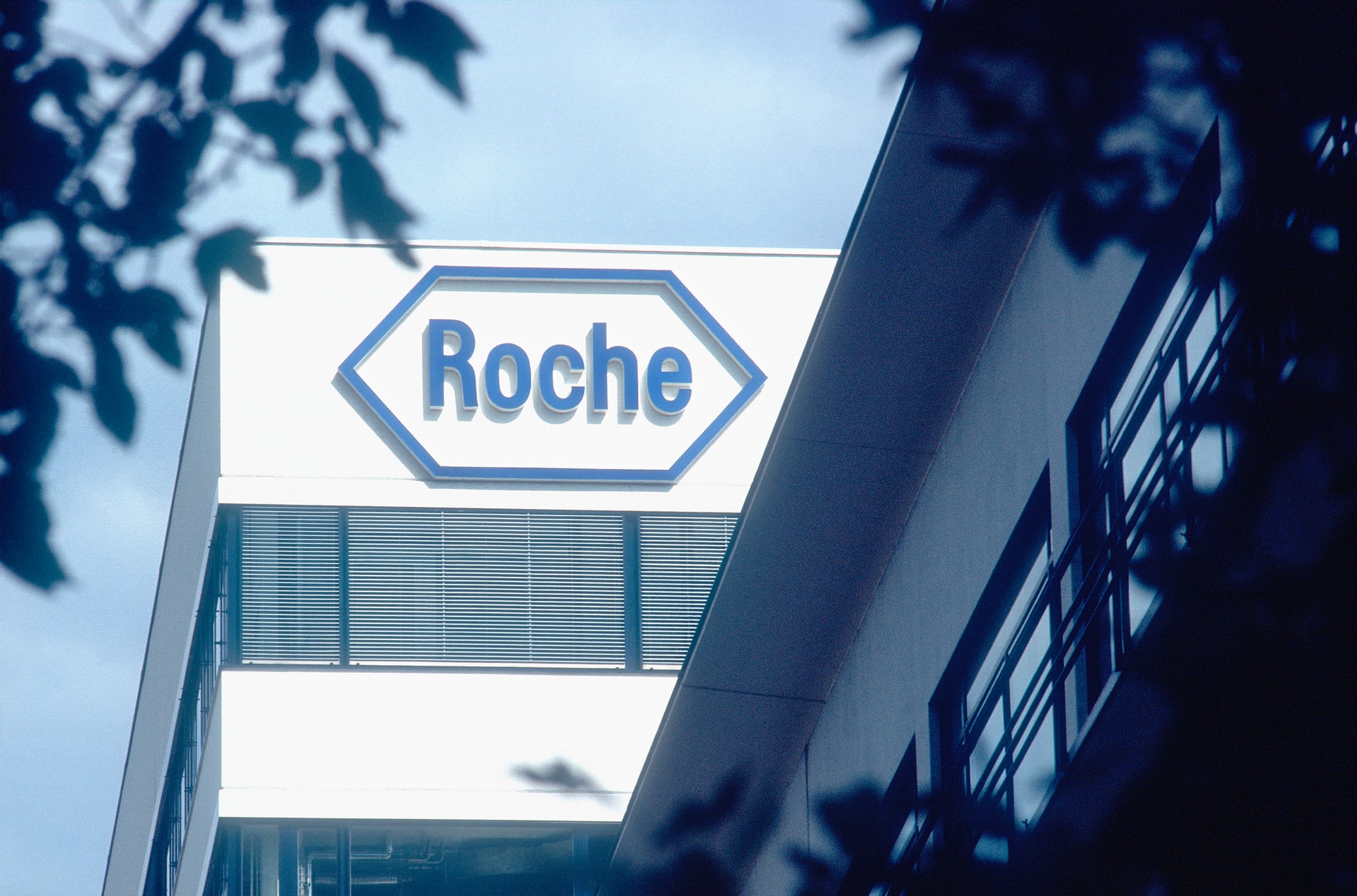Roche's Hemlibra Every Four Weeks Controlled Bleeds in Phase III Study ...