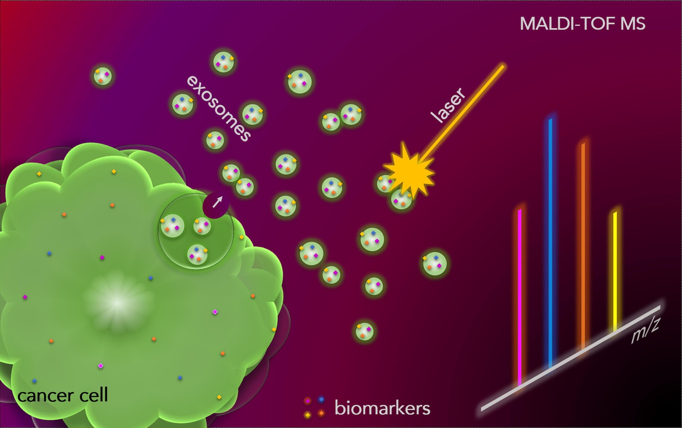 Cancer Cells can Communicate Over Longer Distances Within the Body ...