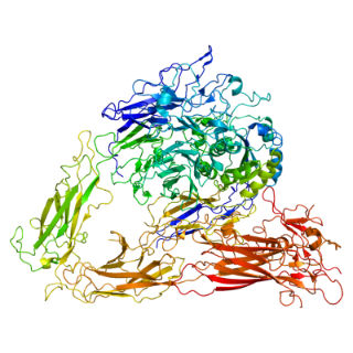 Beta3-Integrin Is Still a Valid Clinical Target for Cancer, New Study ...