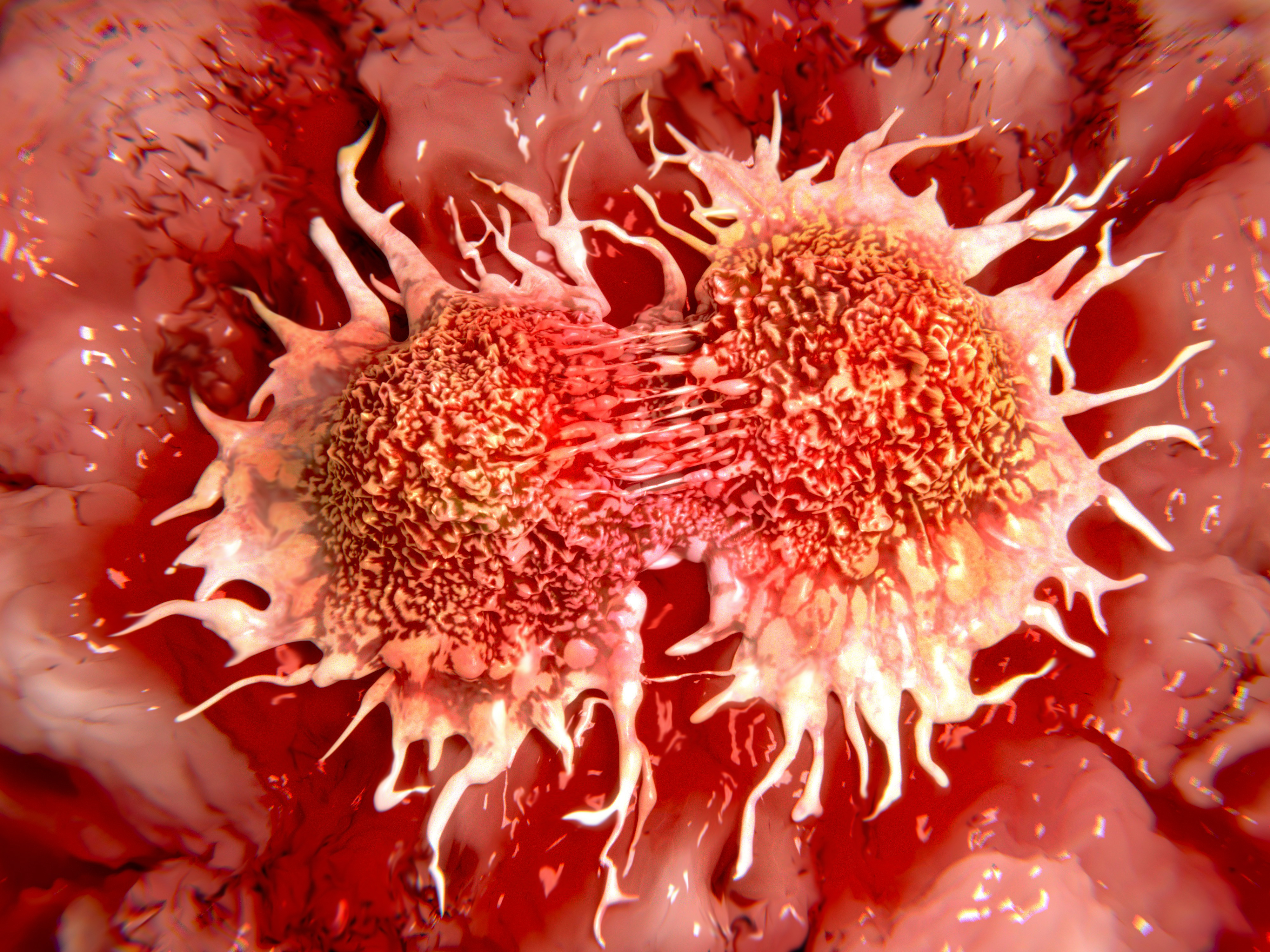 Cancer Cells Spreading