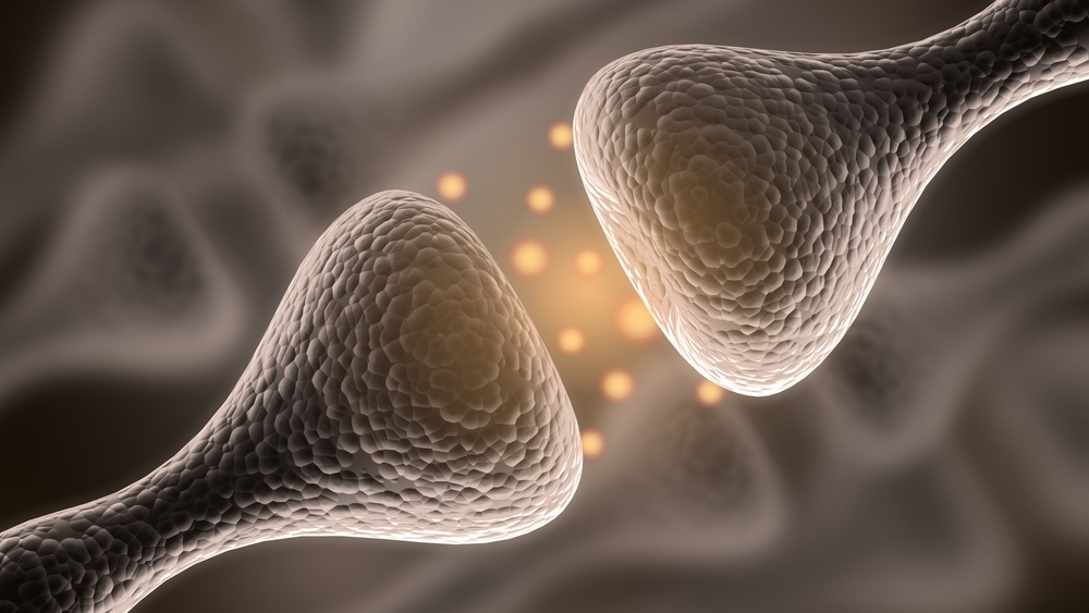 New Epilepsy Drugs Work by Jamming Brain Receptor - Drug Discovery and ...