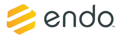 Endo International Logo