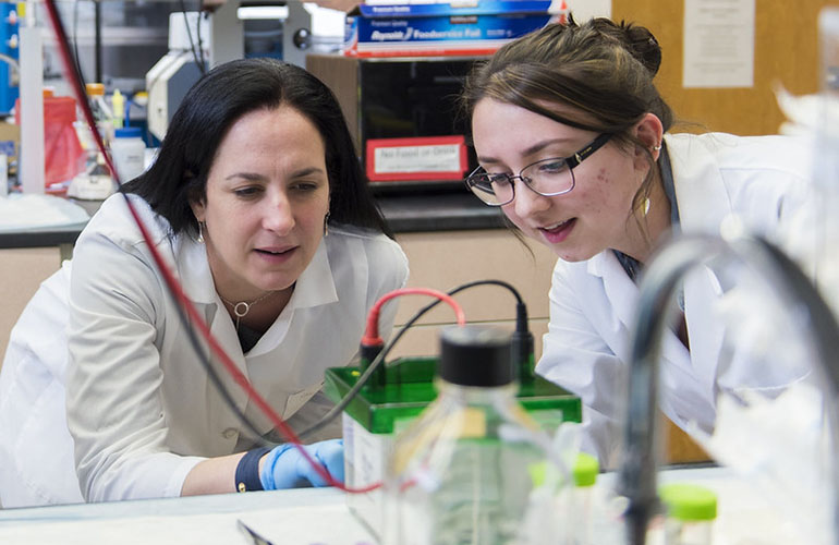 Scientists find new potential drug targets for neurodegenerative ...