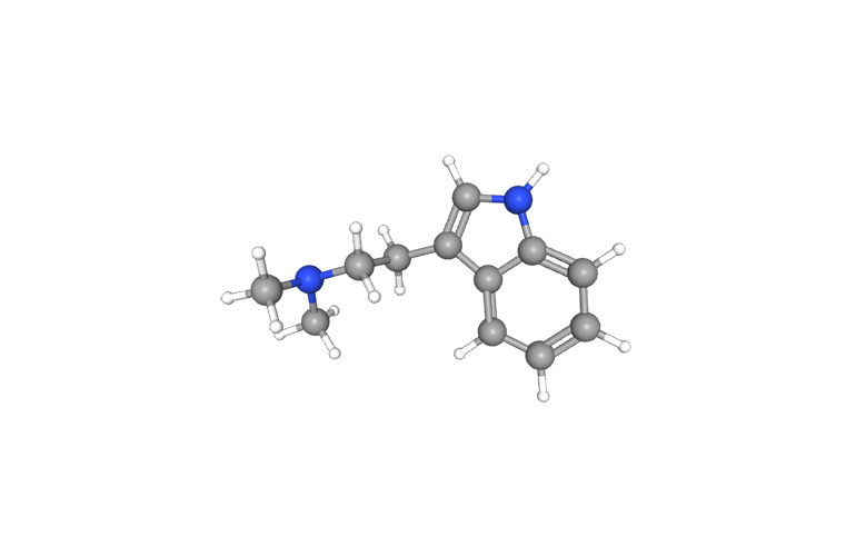 DMT pioneer Rick Strassman weighs in on psychedelics