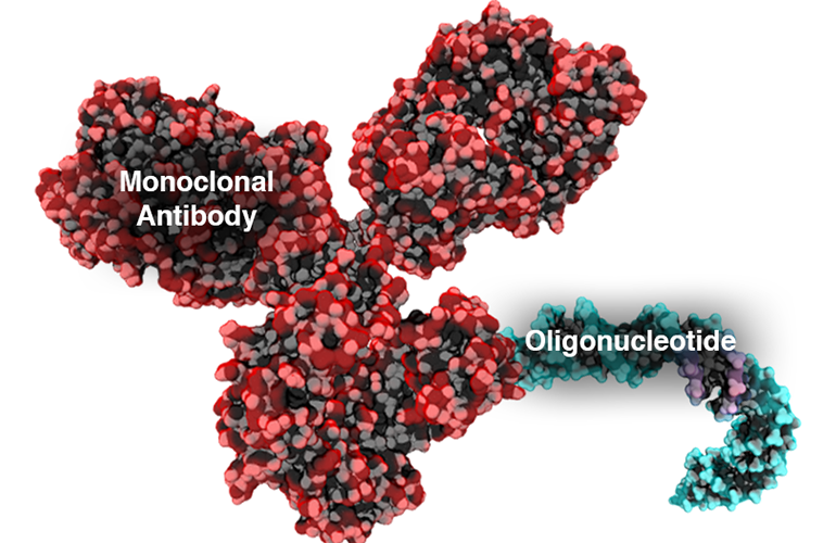 How can we target emerging oligonucleotide therapies for success?