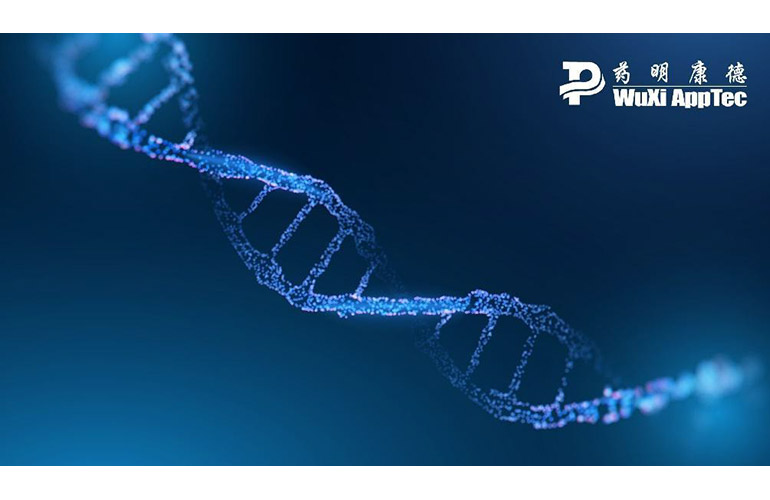 Metabolite ID and profiling in developing oligonucleotides