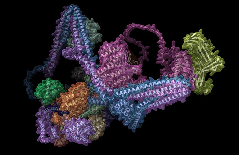 AlphaFold2 sheds light on commander complex and a rare disease