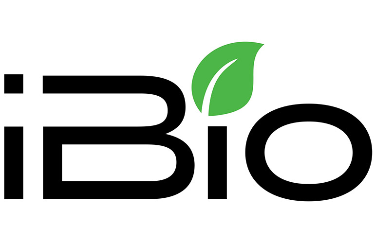 AI in oncology: iBio's journey towards precision antibody discovery