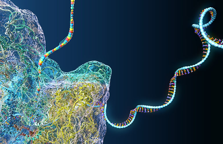 Decoding the future of RNA vaccines with Aldevron’s Venkata Indurthi ...