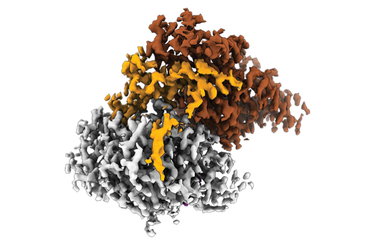 How cryo-EM and AI upending drug discovery