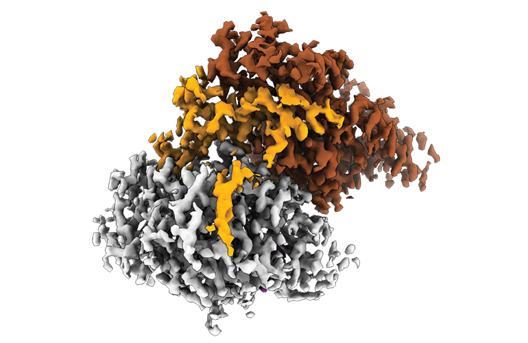 How cryo-EM and AI upending drug discovery