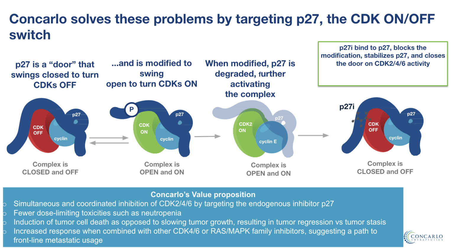 New p27 inhibitors show promise in cancer treatment