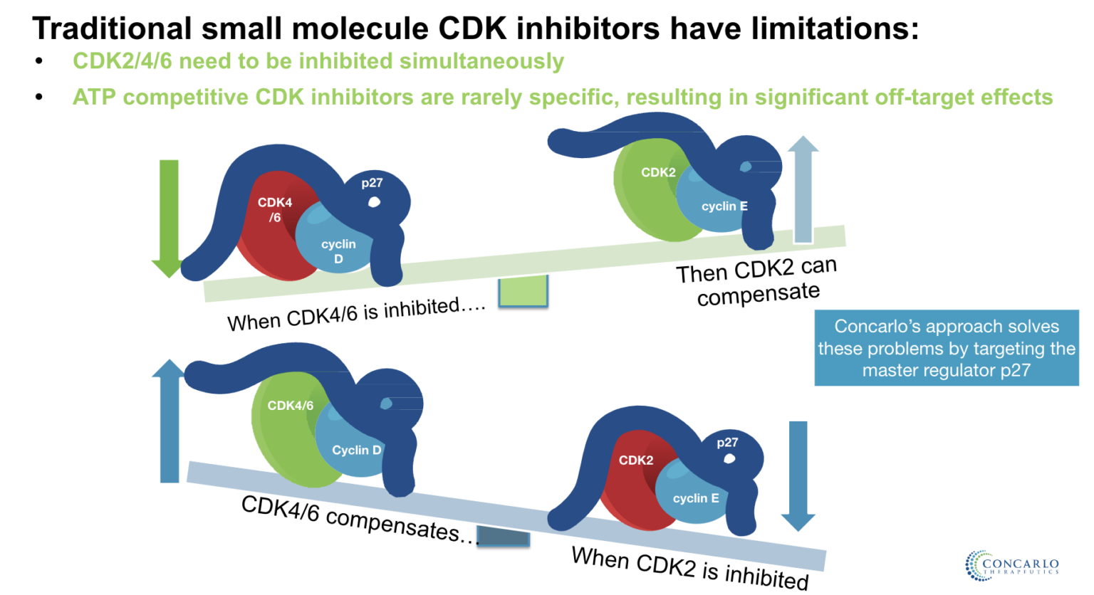 New p27 inhibitors show promise in cancer treatment