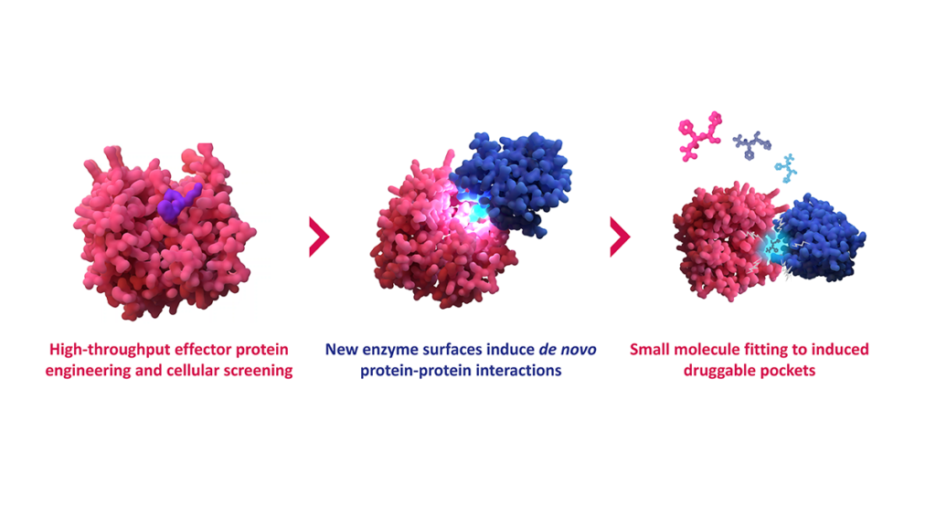 Why molecular glue degraders are emerging as a key modality in drug ...